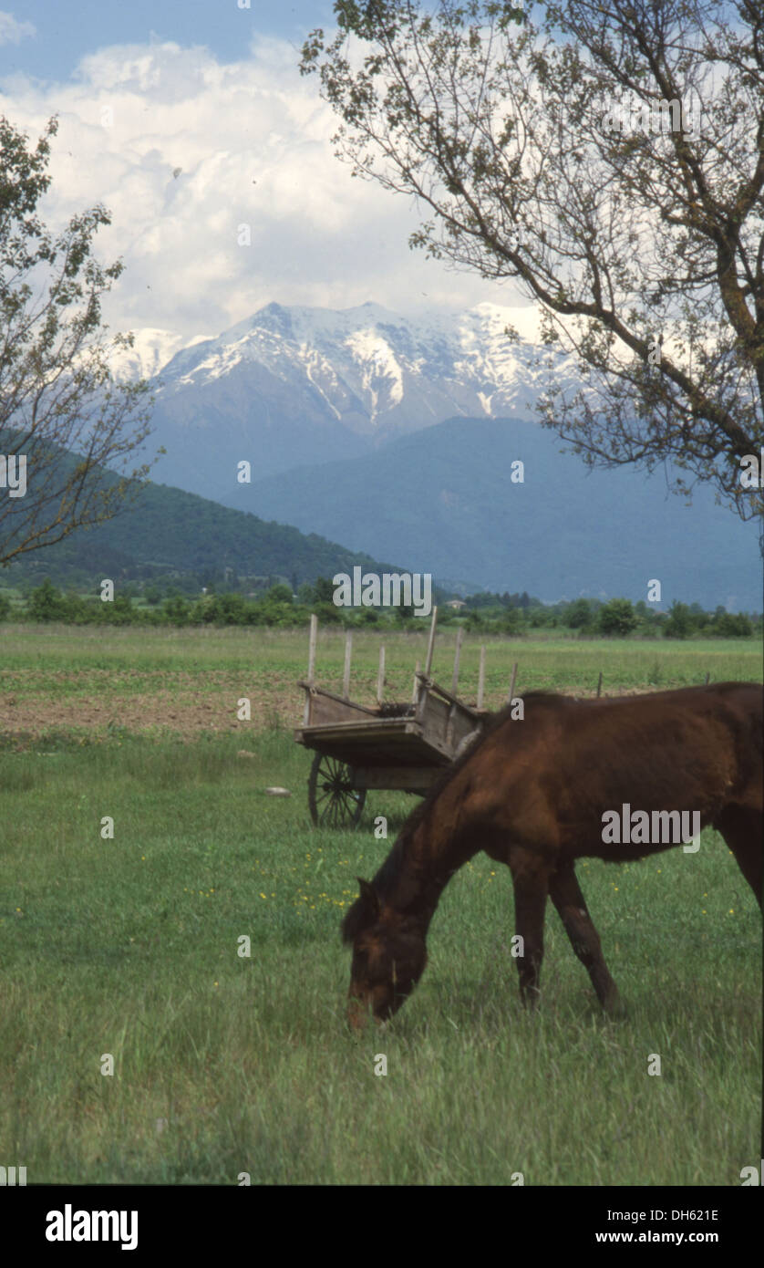 Pankisi hi-res stock photography and images - Alamy