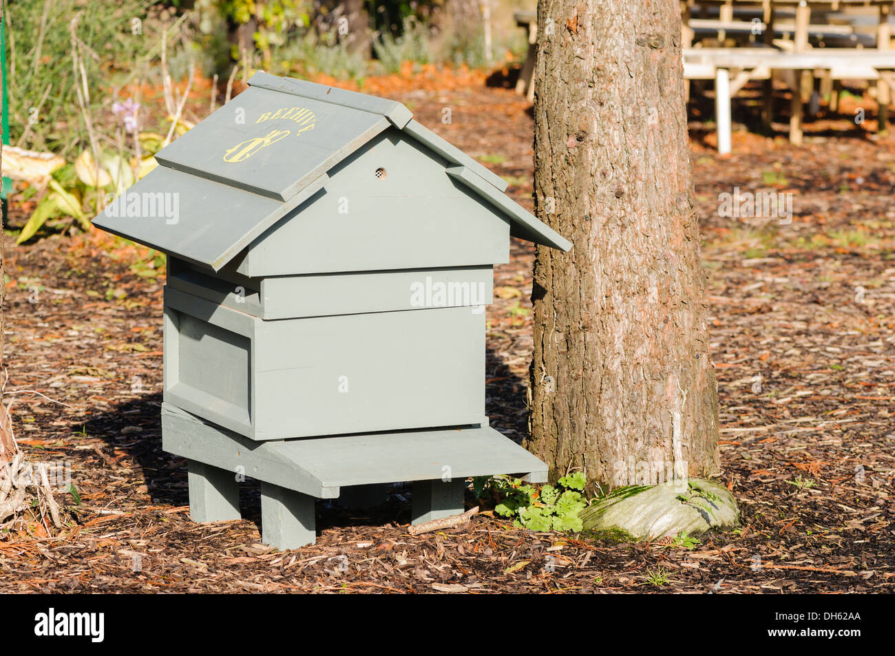 Man made bee hive hi-res stock photography and images - Alamy