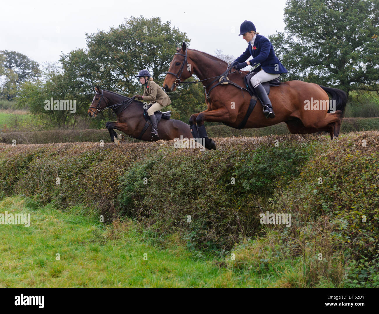 Queniborough, Leicestershire, UK. 1st November 2103. Like Mother, like ...