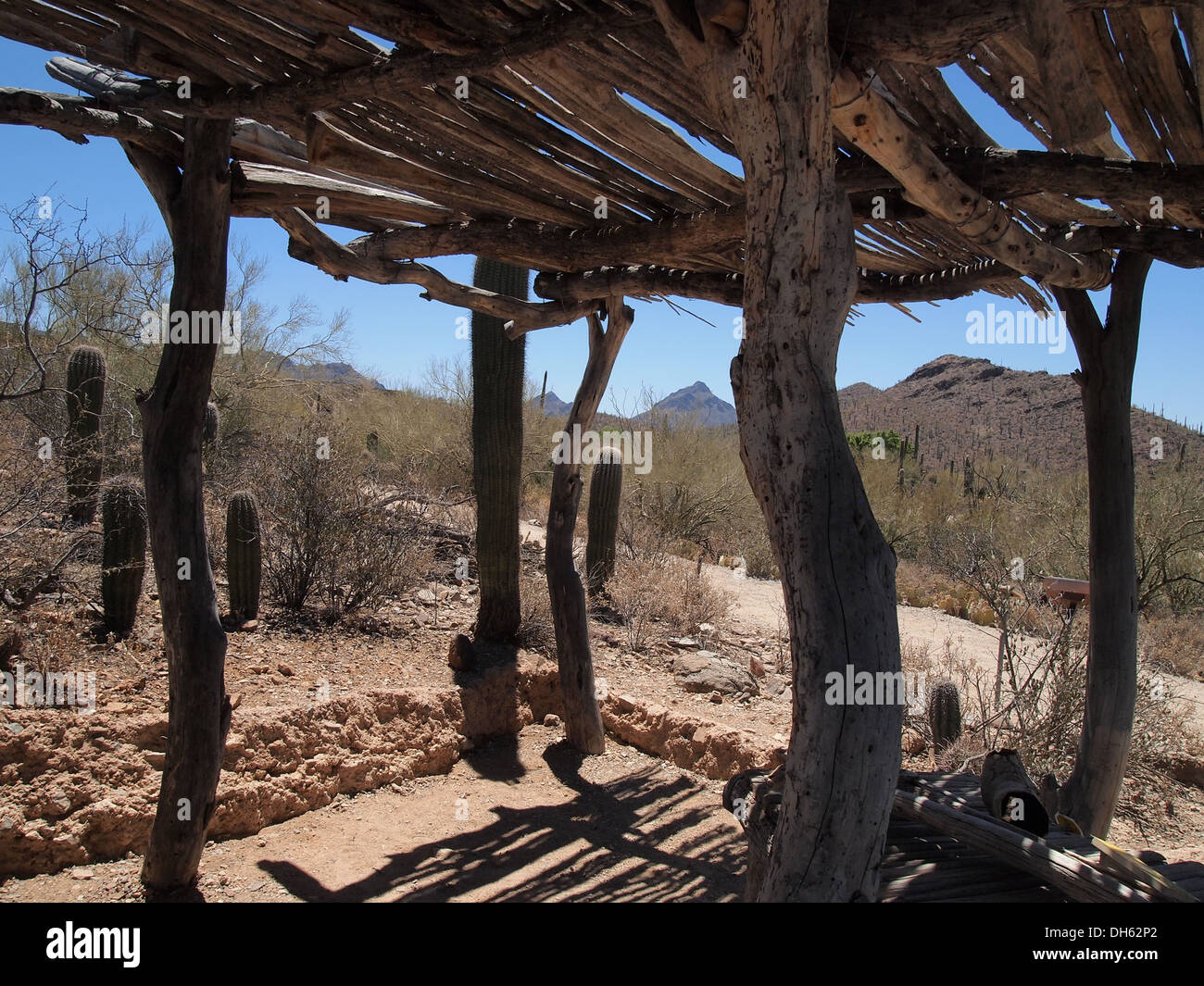 Pathway along dry plants hi-res stock photography and images - Alamy
