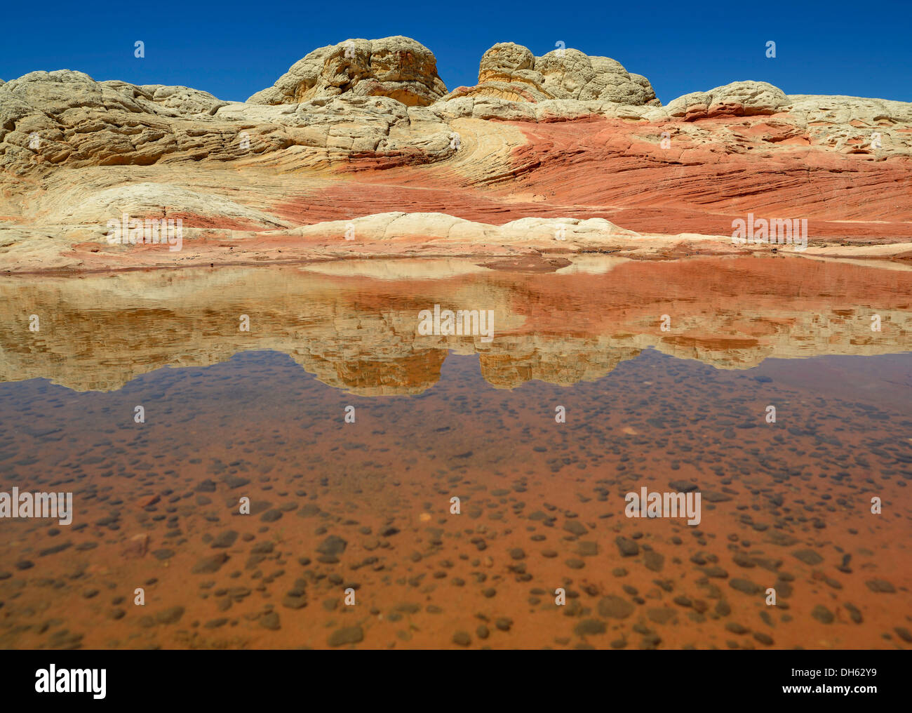 Brain Rocks at White Pocket, eroded Navajo sandstone rocks with ...