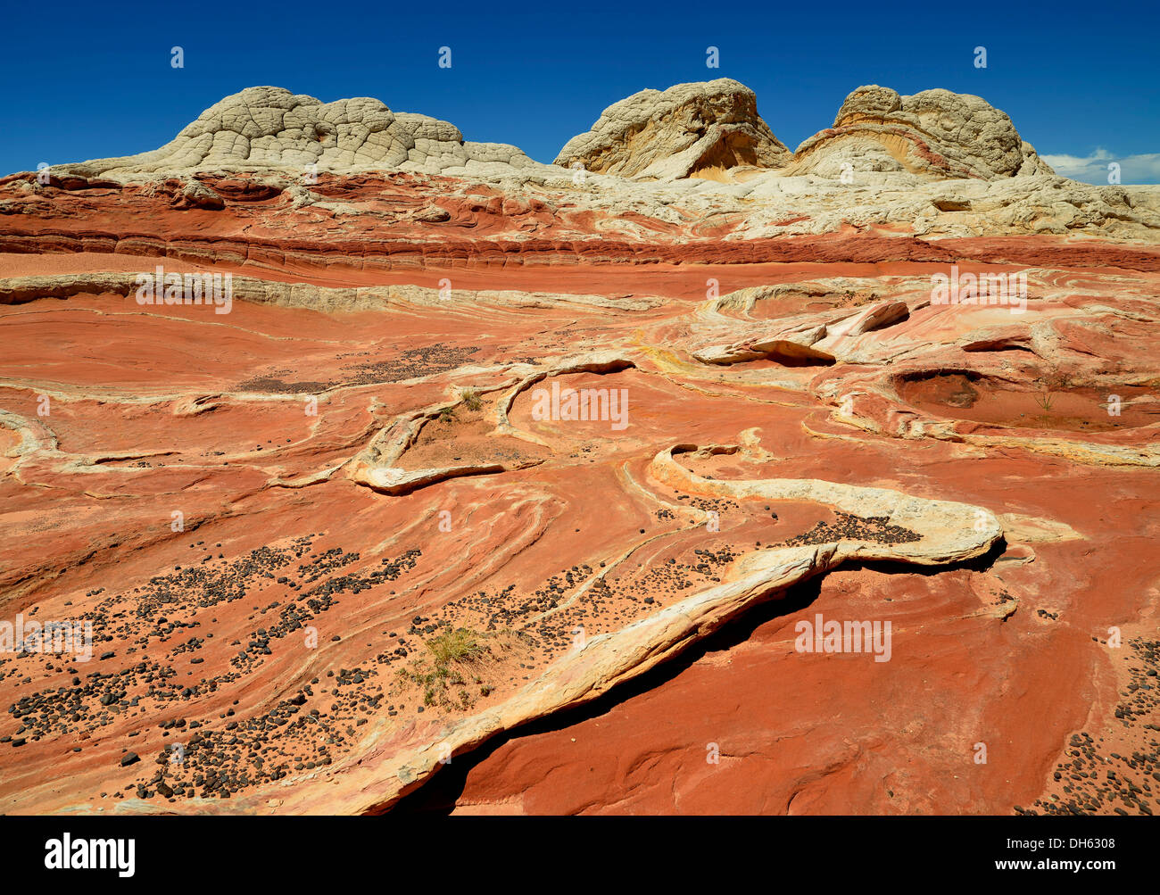 Brain Rocks at White Pocket, eroded Navajo sandstone rocks with ...