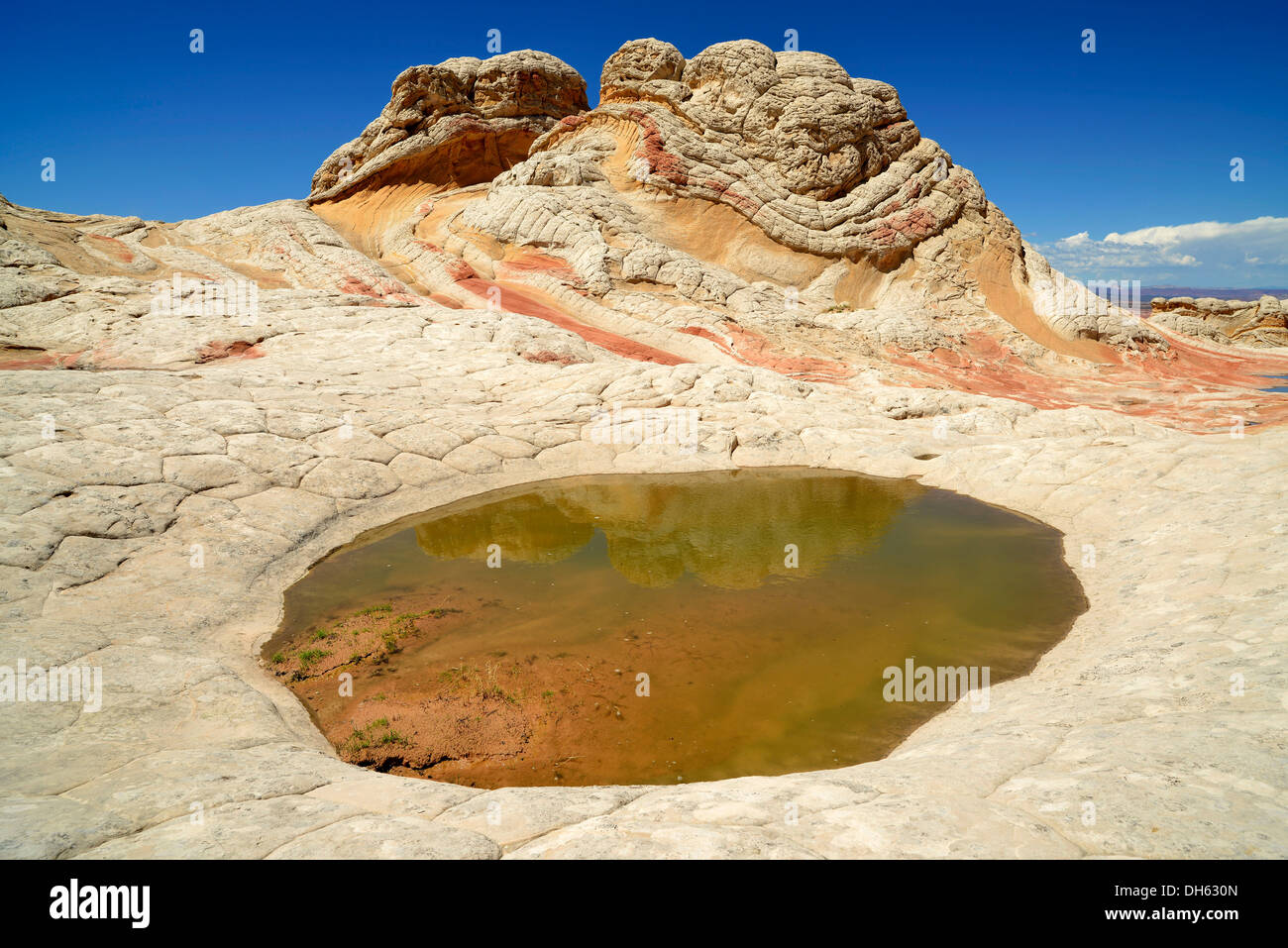 White navajo sandstone hi-res stock photography and images - Alamy