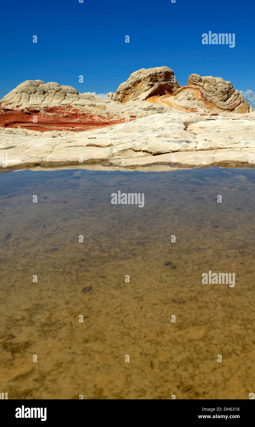 Brain Rocks at White Pocket, eroded Navajo sandstone rocks with ...