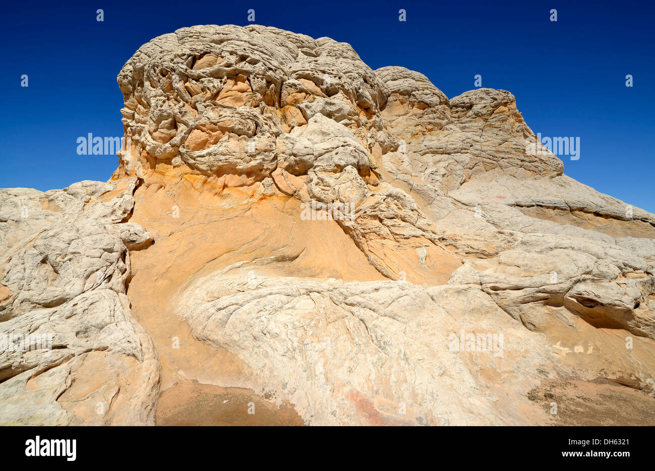 Brain Rocks at White Pocket, eroded Navajo sandstone rocks with ...