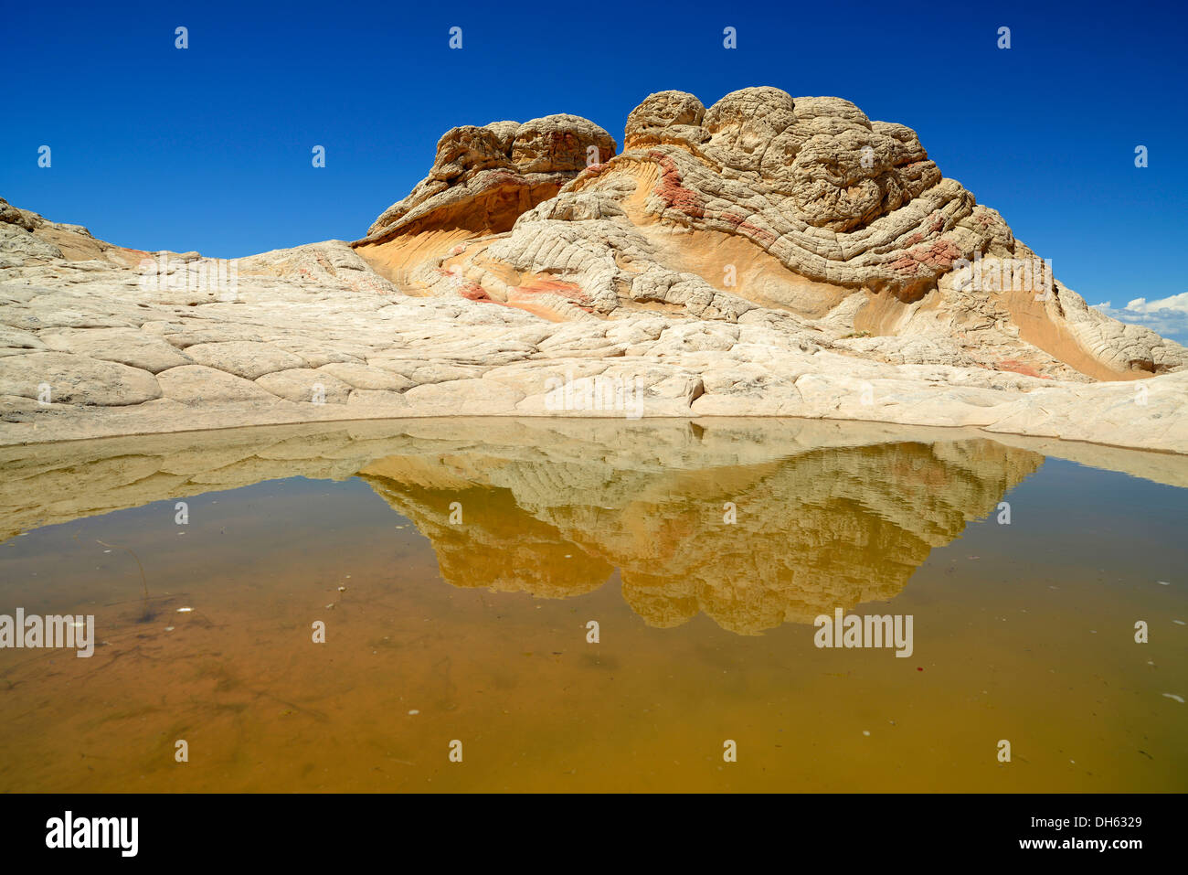 Brain Rocks at White Pocket, eroded Navajo sandstone rocks with ...