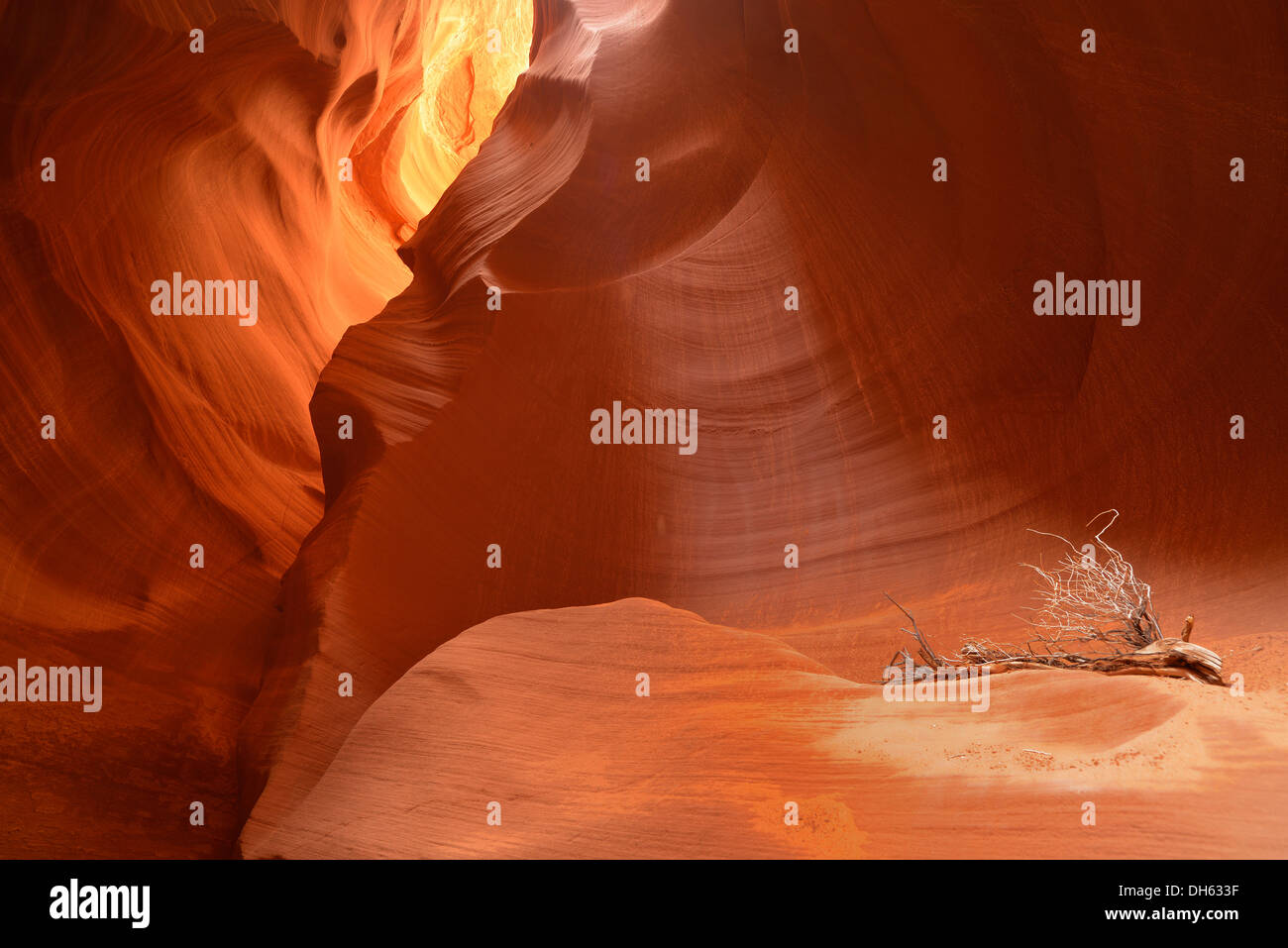 Red sandstone of the Moenkopi Formation, rock formation, colours and ...