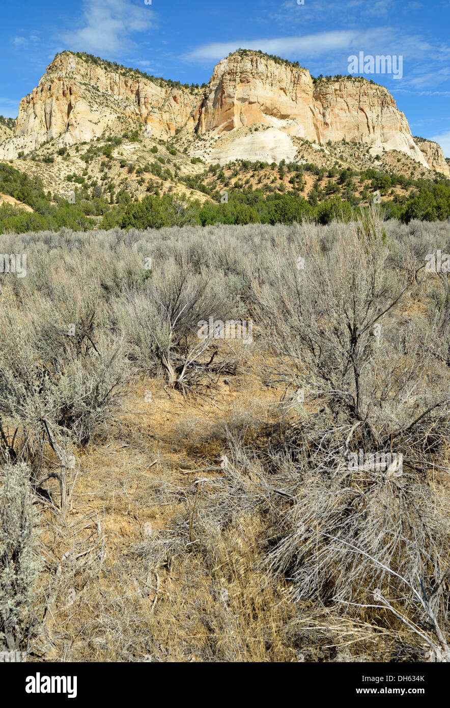 Vermilion Cliffs, Johnson Canyon, Johnson Canyon Road, Grand Staircase ...