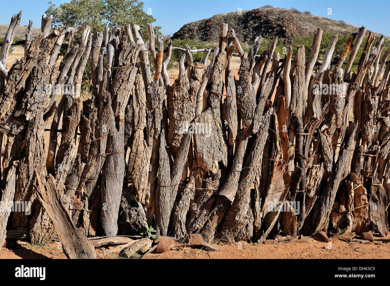 Fence of a kraal where the Ovahimba keep their cattle Stock Photo - Alamy