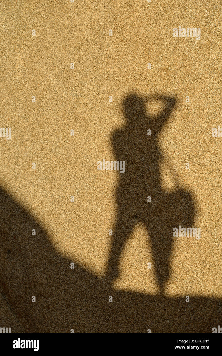 1 tree shadow hi-res stock photography and images - Alamy