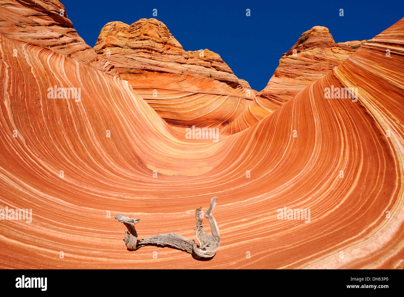 The Wave, banded eroded Navajo sandstone rocks with Liesegang bands or ...