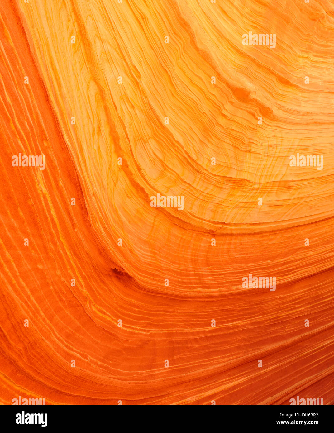 Detail view of typical Liesegang Bands or Liesegang Rings, The Wave ...