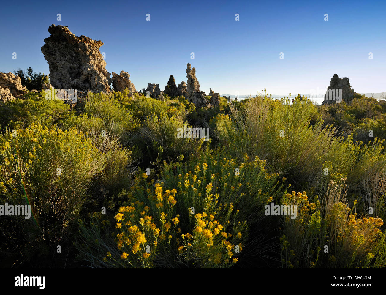 Travertine tuff hi-res stock photography and images - Alamy