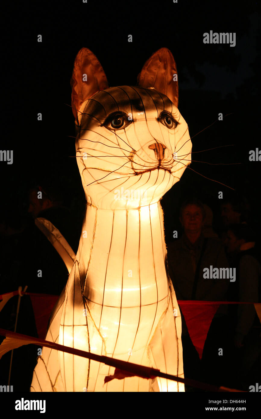 Chinese lantern cat hi-res stock photography and images - Alamy