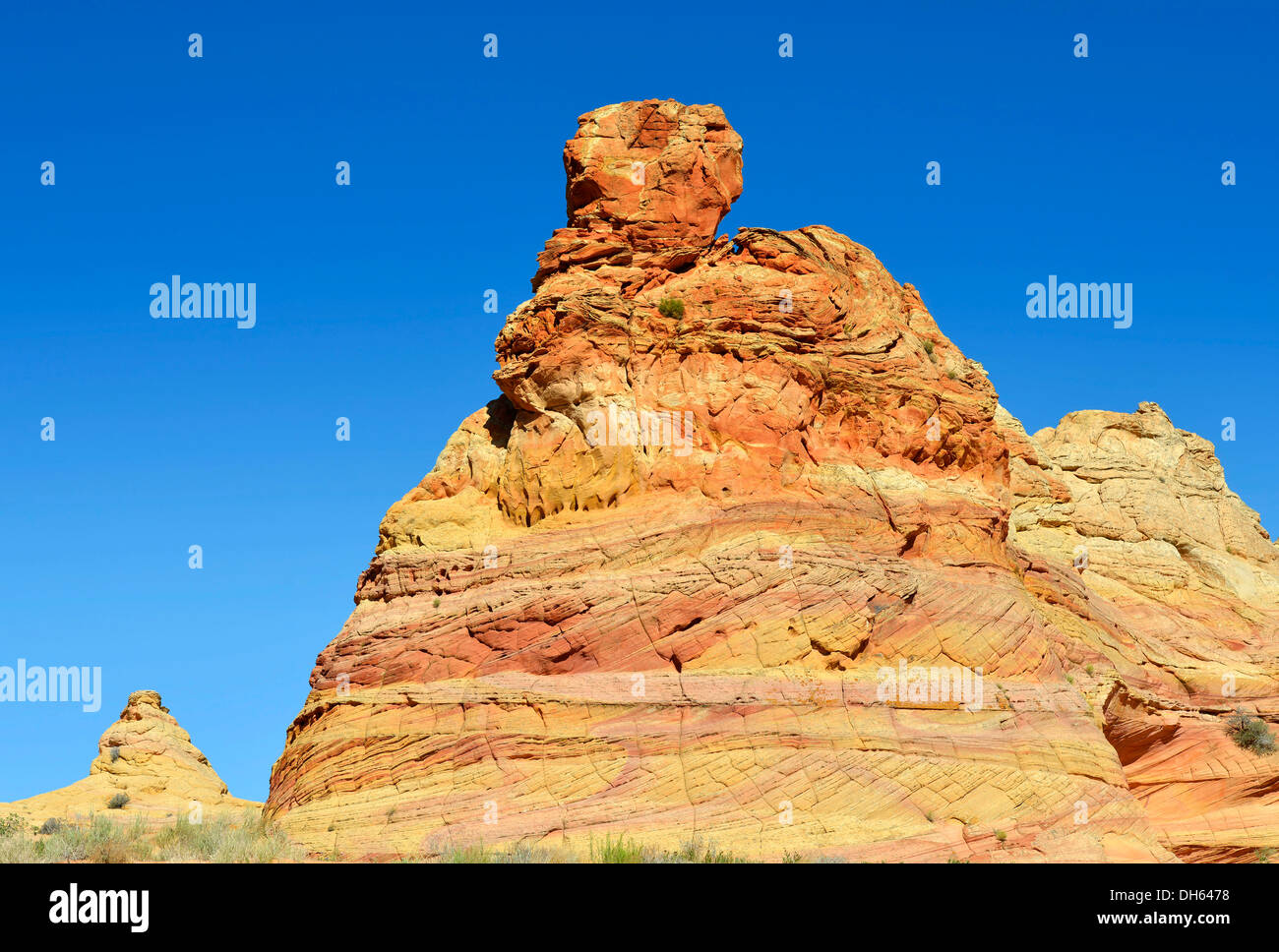 "The Duck", Brain Rocks of the Coyote Buttes South CBS, Cottonwood ...