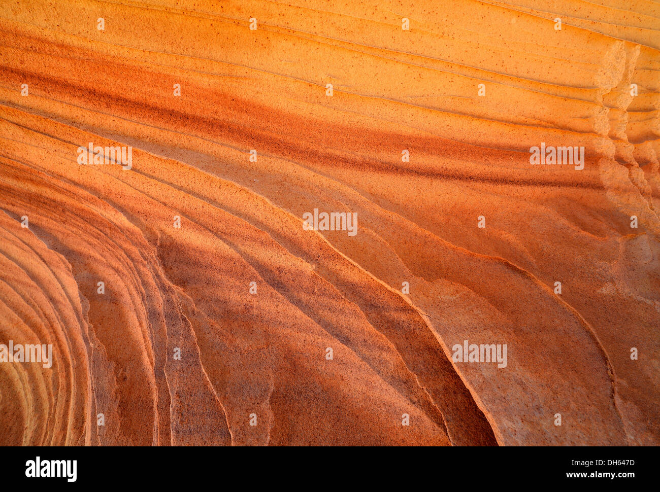 Liesegang ring hi-res stock photography and images - Alamy