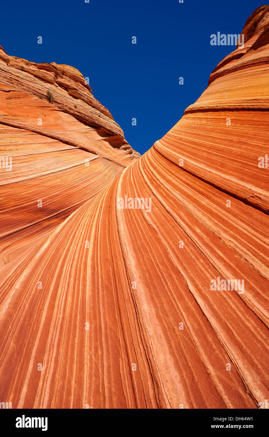 "The Wave", wave of banded eroded Navajo sandstone cliffs with ...