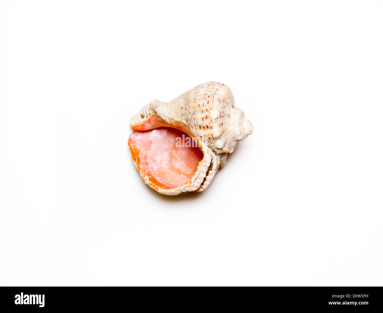 Md 1 Cut Out Stock Images & Pictures - Alamy