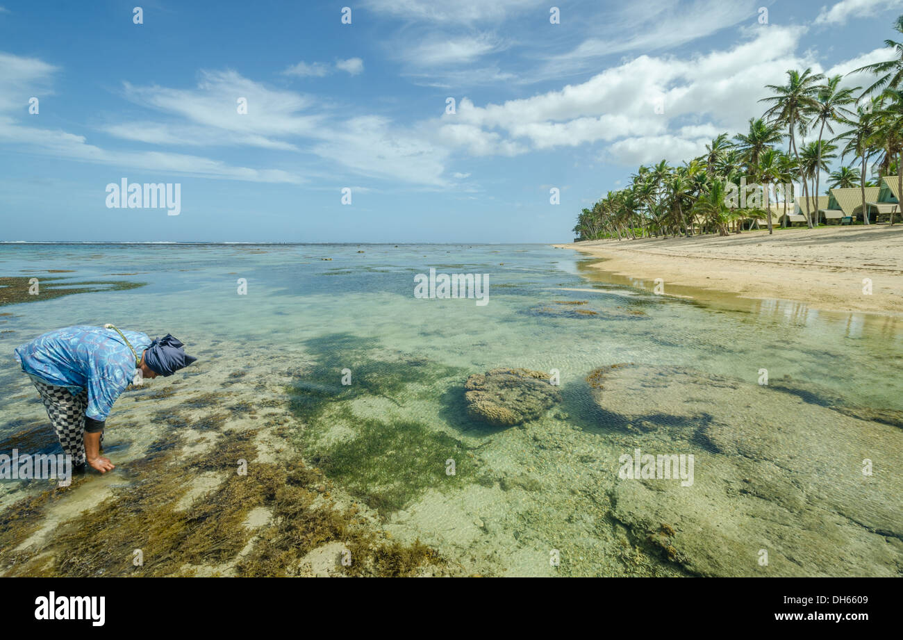 Coral coast, Fiji Stock Photo - Alamy