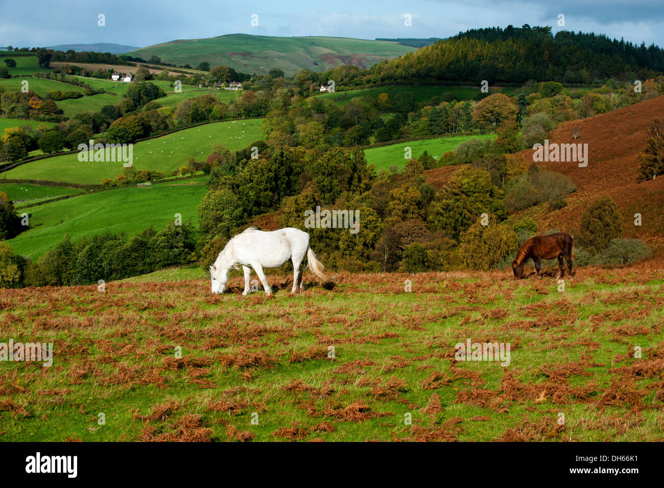 Shropshire hopesay hill hi-res stock photography and images - Alamy