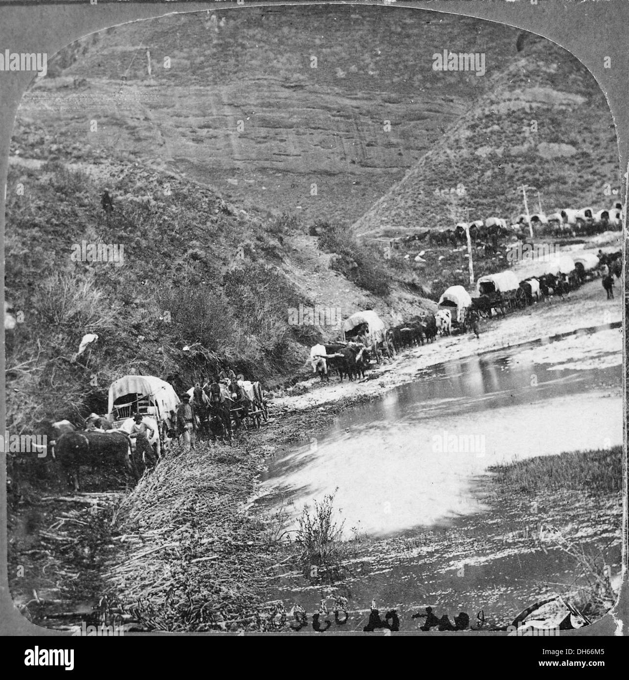 A photograph of Mormon emigrants during their westward migration in the ...