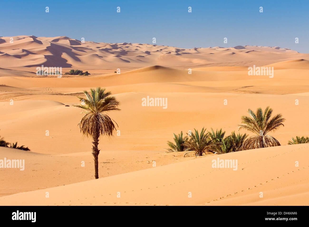 Oasis photo hi-res stock photography and images - Alamy