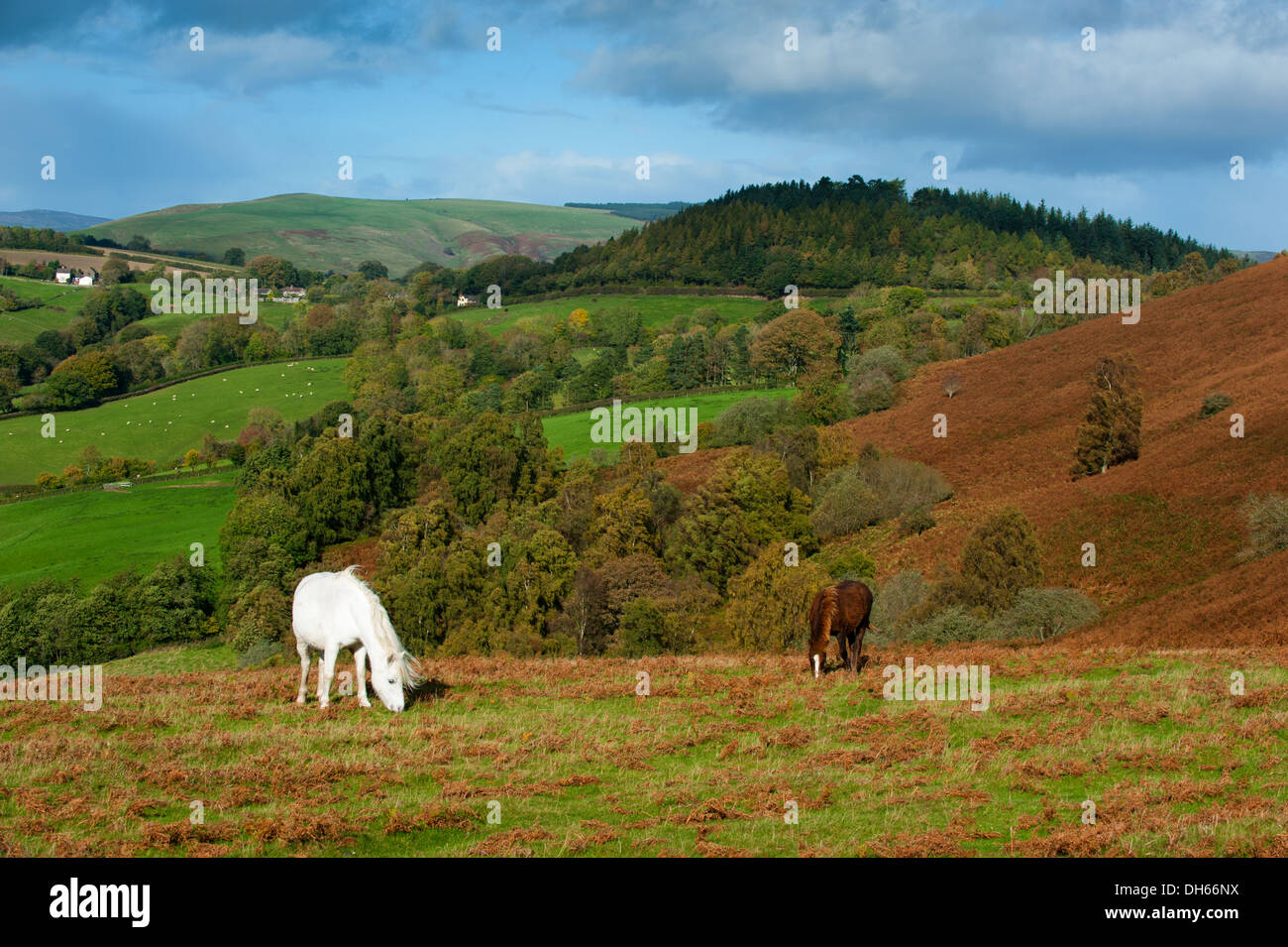 Hopesay hill hi-res stock photography and images - Alamy