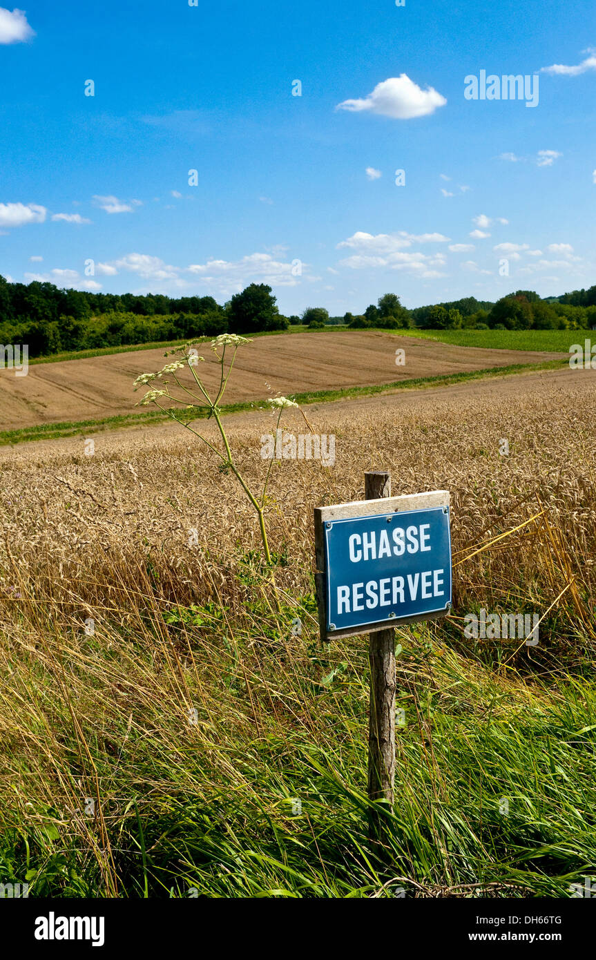 Chasse hunt hi-res stock photography and images - Alamy