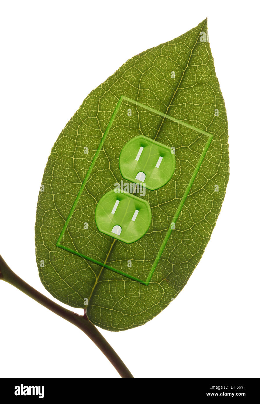 A green plant leaf on a branch with green colored electrical outlets ...