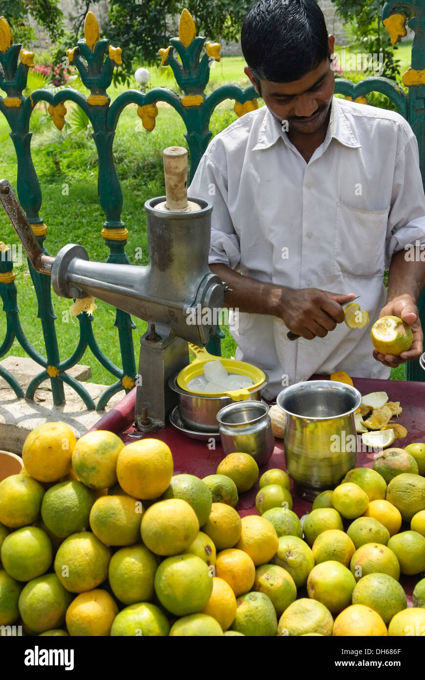 Fruit indigenous to india hi-res stock photography and images - Alamy