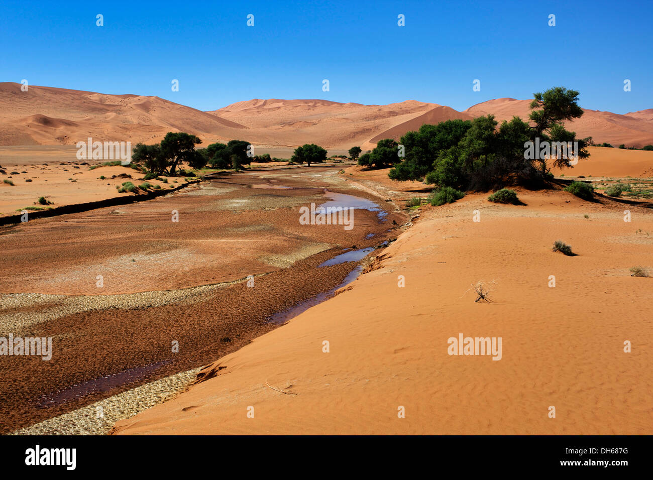 Rare water in the Tsauchab River, Sossusvlei in the Namib Desert ...