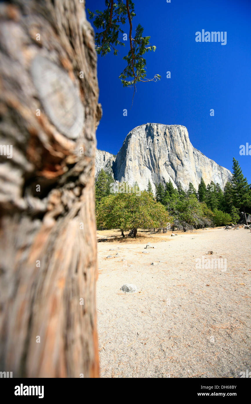 View towards El Capitan Mountain, with one of the major climbing routes ...