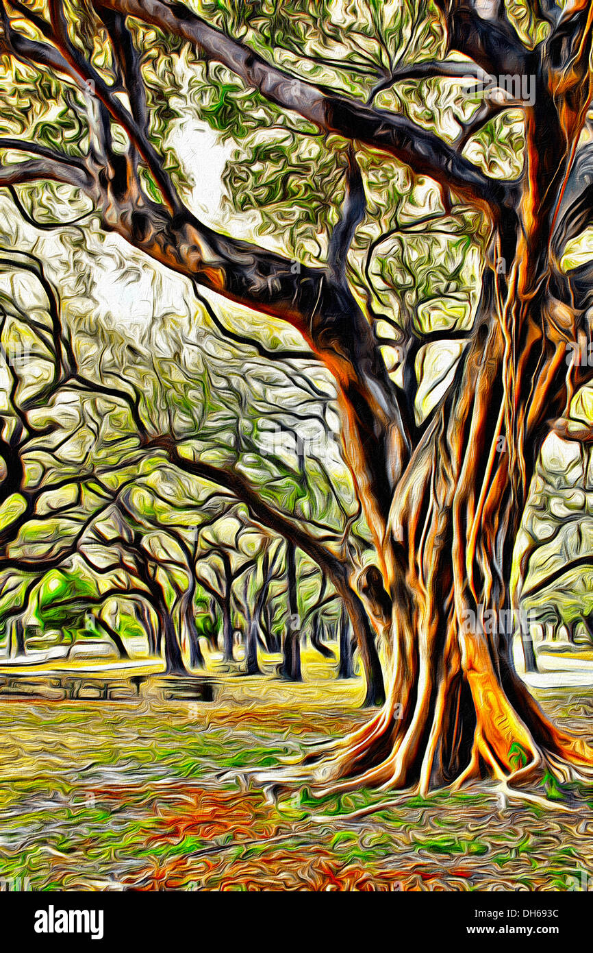 Tree Series 1 Stock Photo - Alamy
