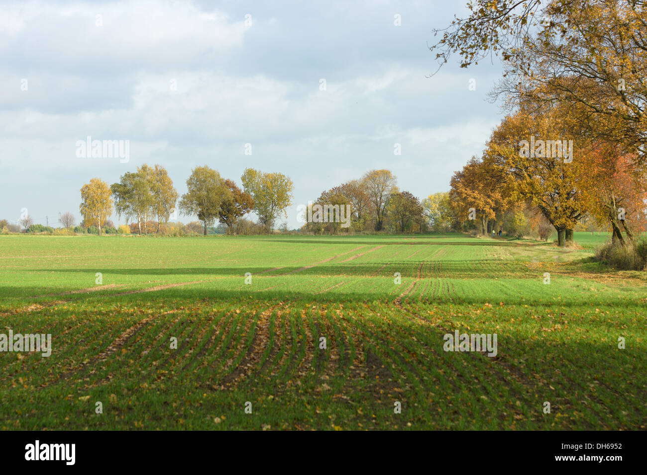 Autumn fields in the country Stock Photo - Alamy