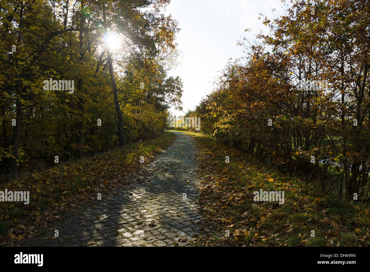 Autumn country road Stock Photo - Alamy