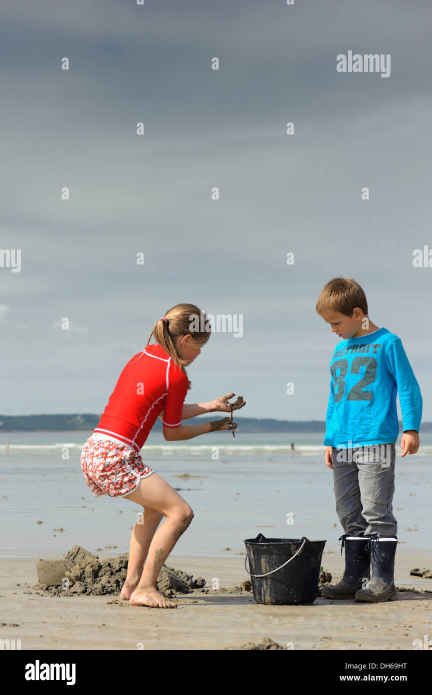 Wadden worm worms young hi-res stock photography and images - Alamy