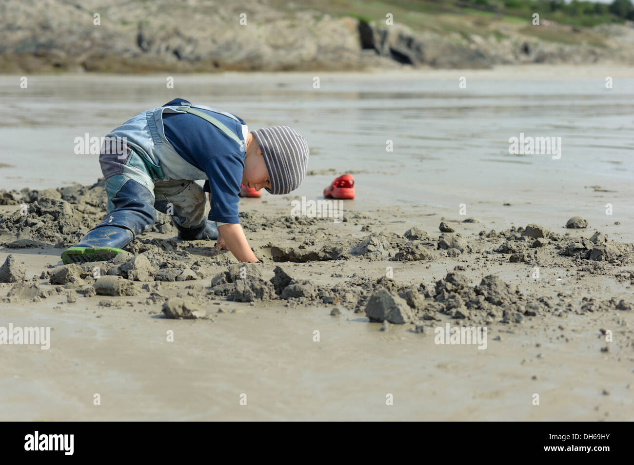 Arenicola Marina High Resolution Stock Photography and Images - Alamy
