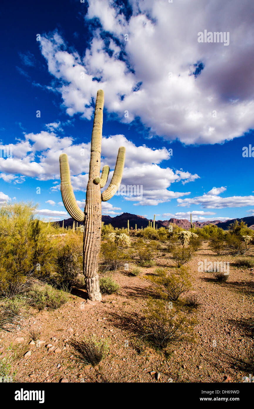 Arizona wide landscape hi-res stock photography and images - Alamy