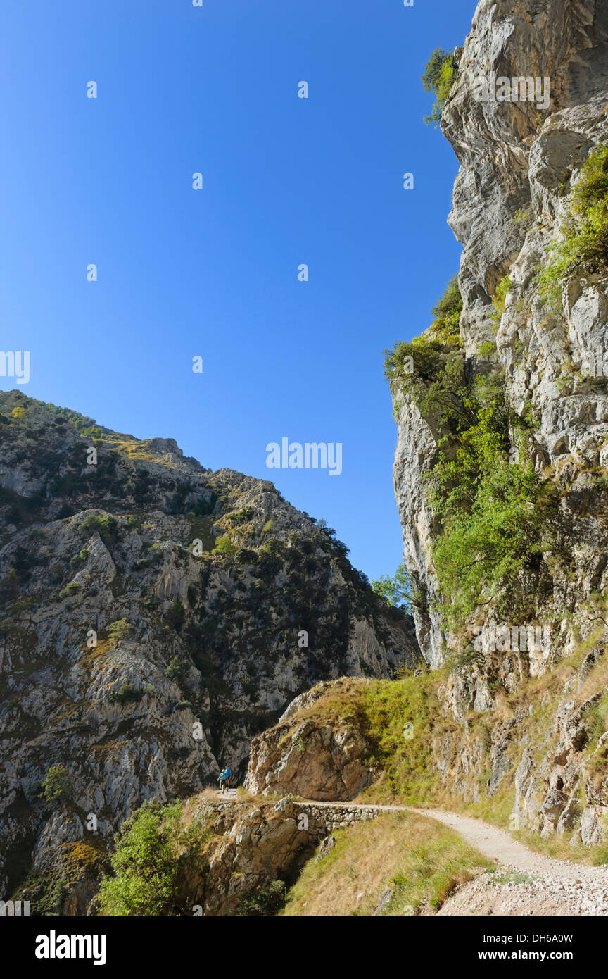 Rio Cares Gorge, limestone massif of the Picos de Europa, hikers, Picos ...