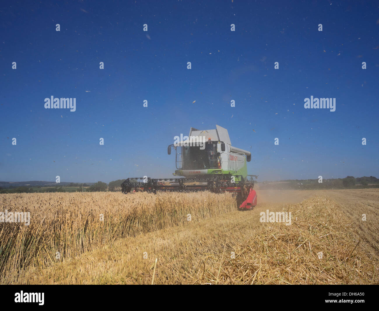French harvester High Resolution Stock Photography and Images - Alamy