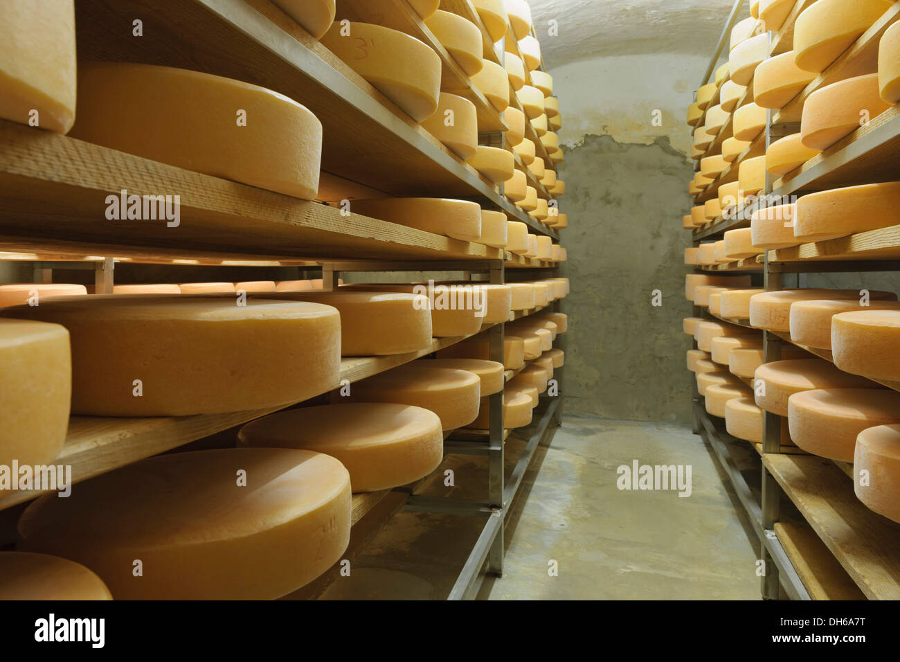 Cheeses in dairy storage room hi-res stock photography and images - Alamy