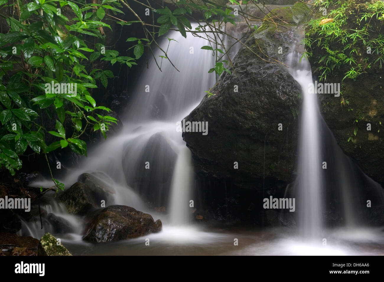 Waterfall and pond, El Yunque (Caribbean National Forest), Puerto Rico ...