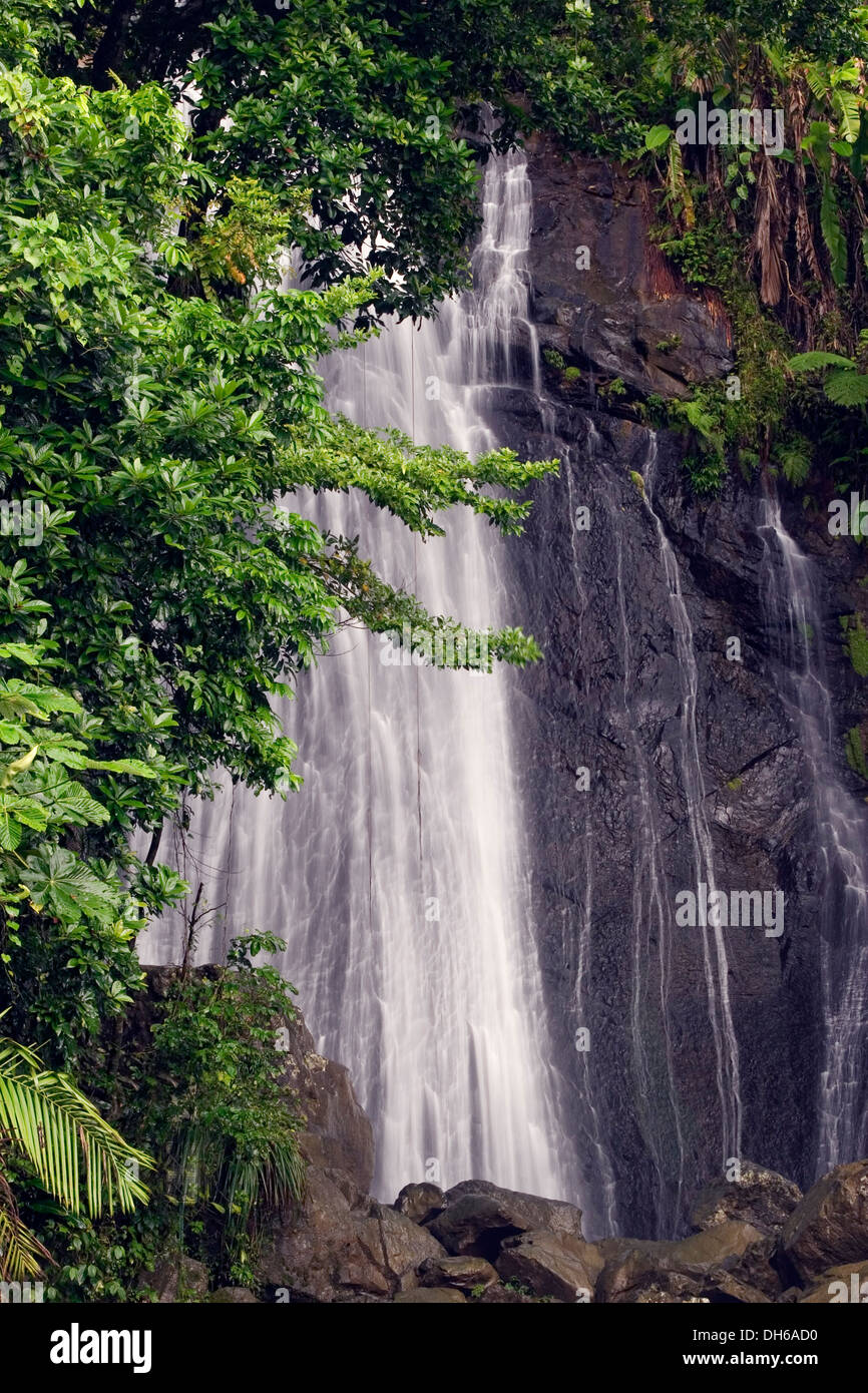 La Coca Waterfall, El Yunque (Caribbean National Forest), Puerto Rico ...