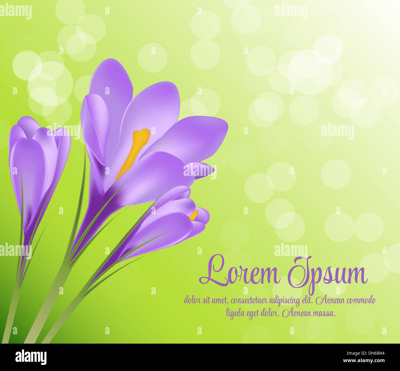 Vector illustration crocus flower background Stock Photo - Alamy