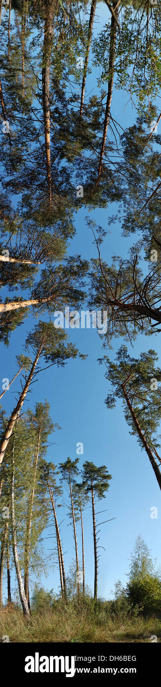 Spherical panorama hi-res stock photography and images - Alamy