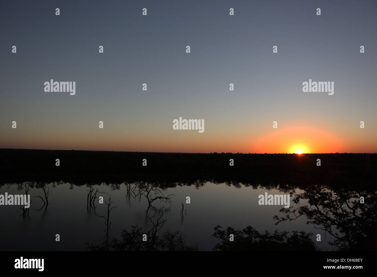 Mopani hi-res stock photography and images - Alamy