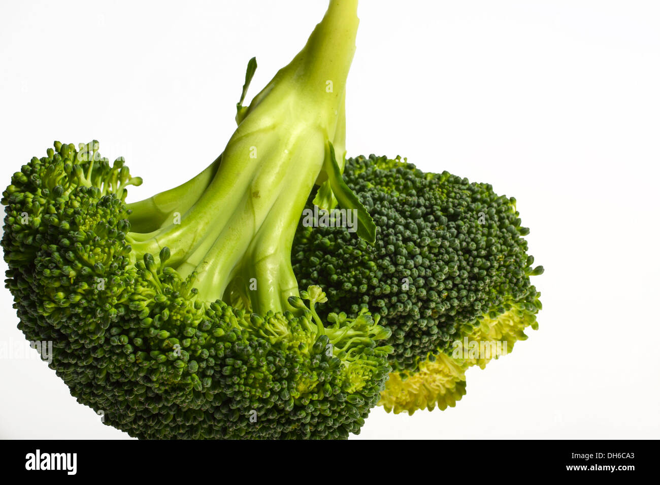 Five broccoli florets hi-res stock photography and images - Alamy