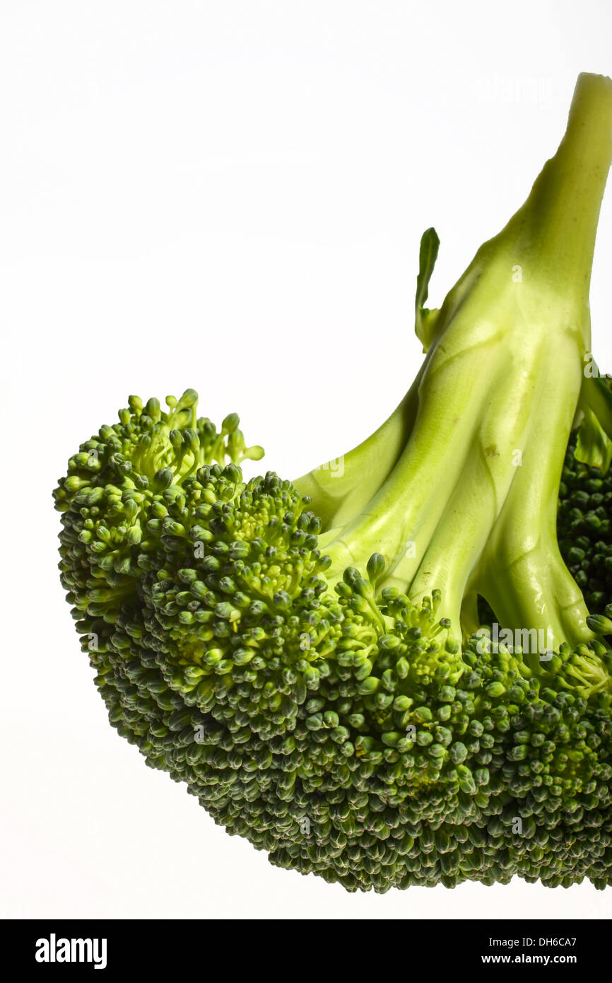 Close up of broccoli florets on white back ground Stock Photo - Alamy