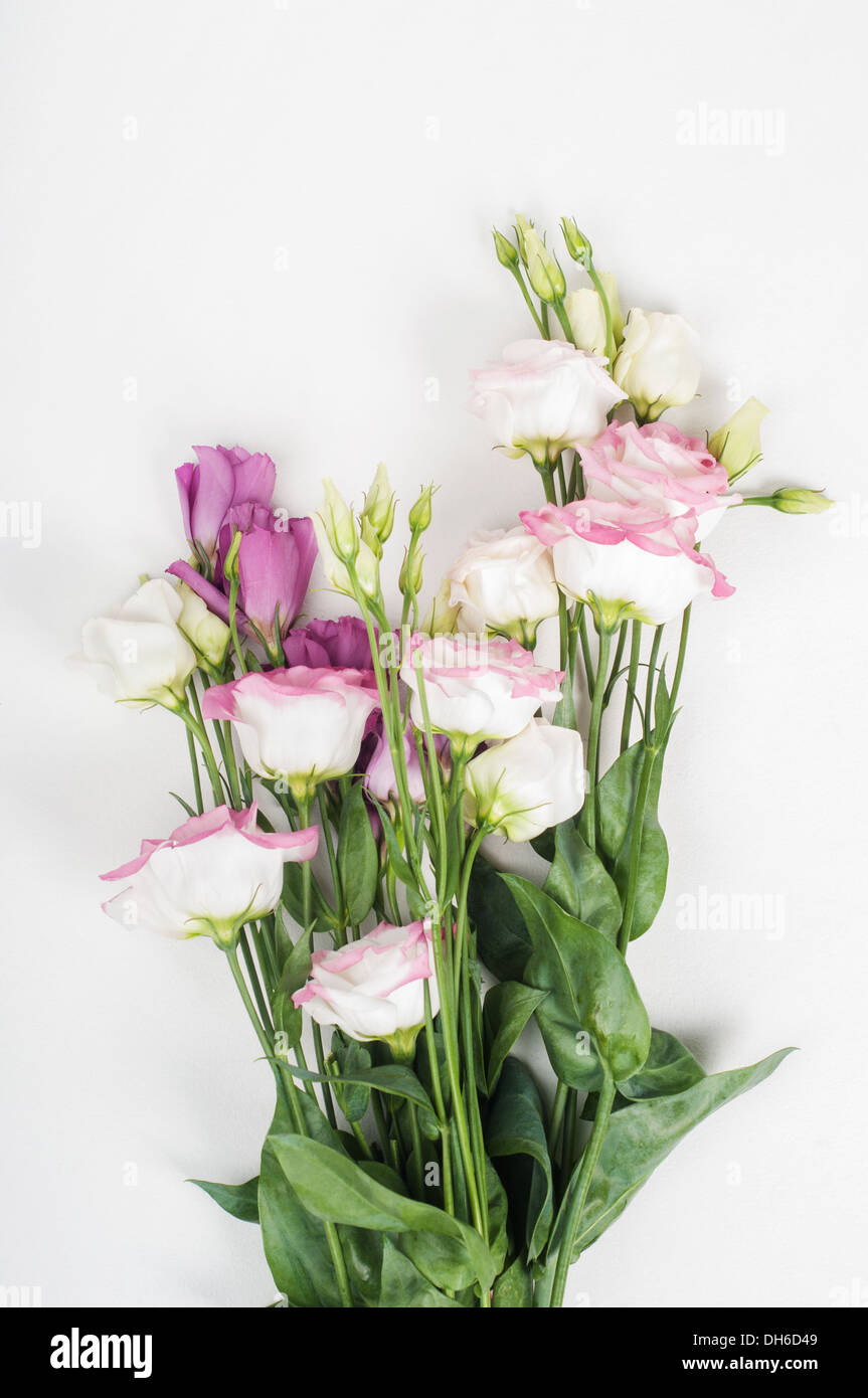Beautiful eustoma bouquet Stock Photo - Alamy