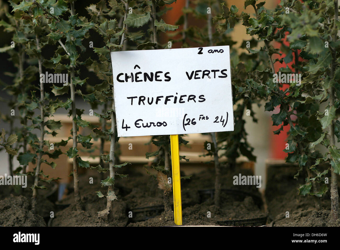 Truffles provence market hi-res stock photography and images - Alamy